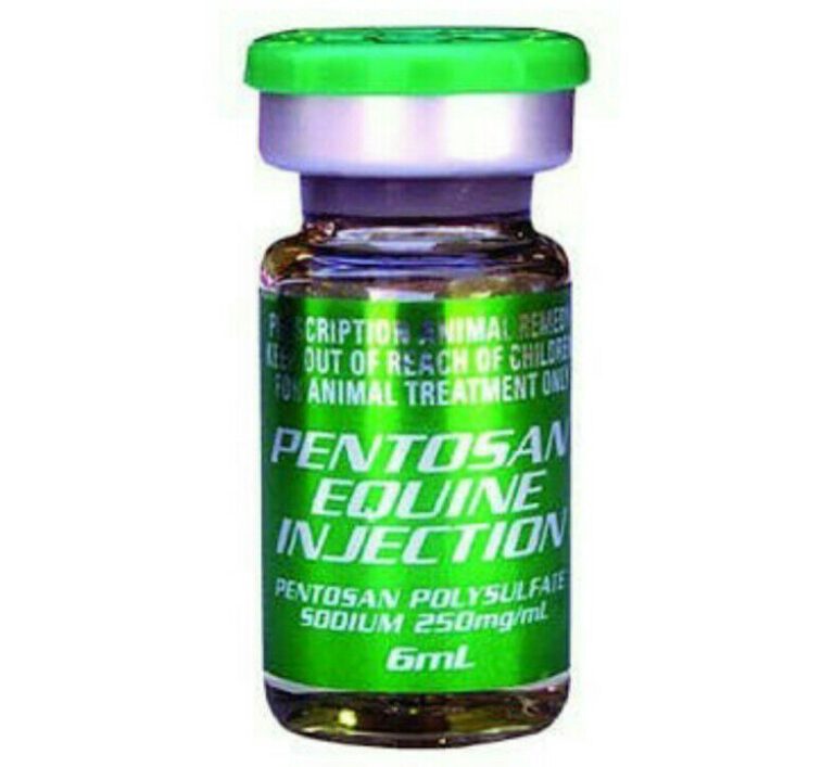 PENTOSAN EQUINE INJECTION is a linear polymer prepared from xylan,